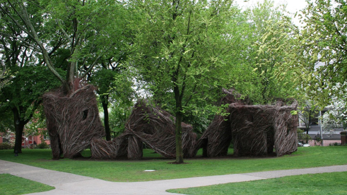 Patrick Dougherty | Square Roots (2007) | Brown Arts Institute | Brown ...